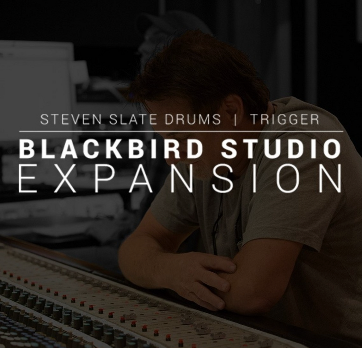 Slate SSD Blackbird Expansão — Music SA - Plugins de Áudio e Equipamentos Musicais
